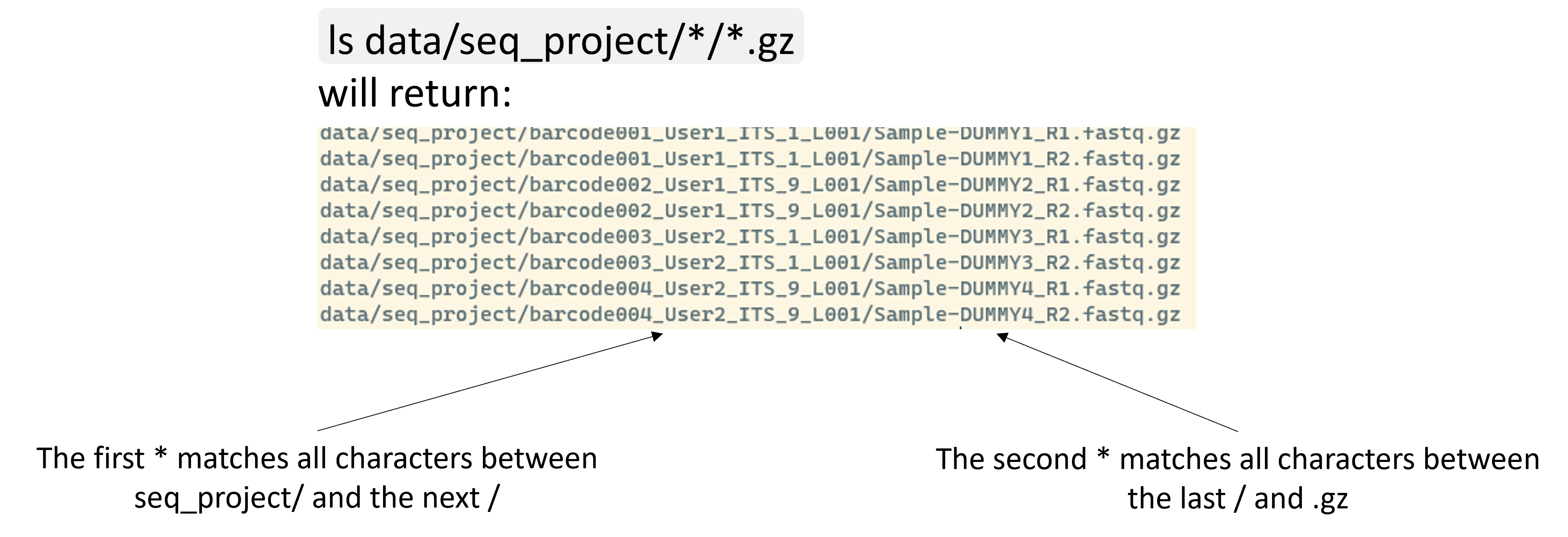 Introduction to the cli